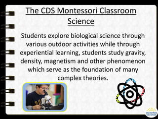 What Is The Montessori School Program & Is It Right For My Child? | PPTX