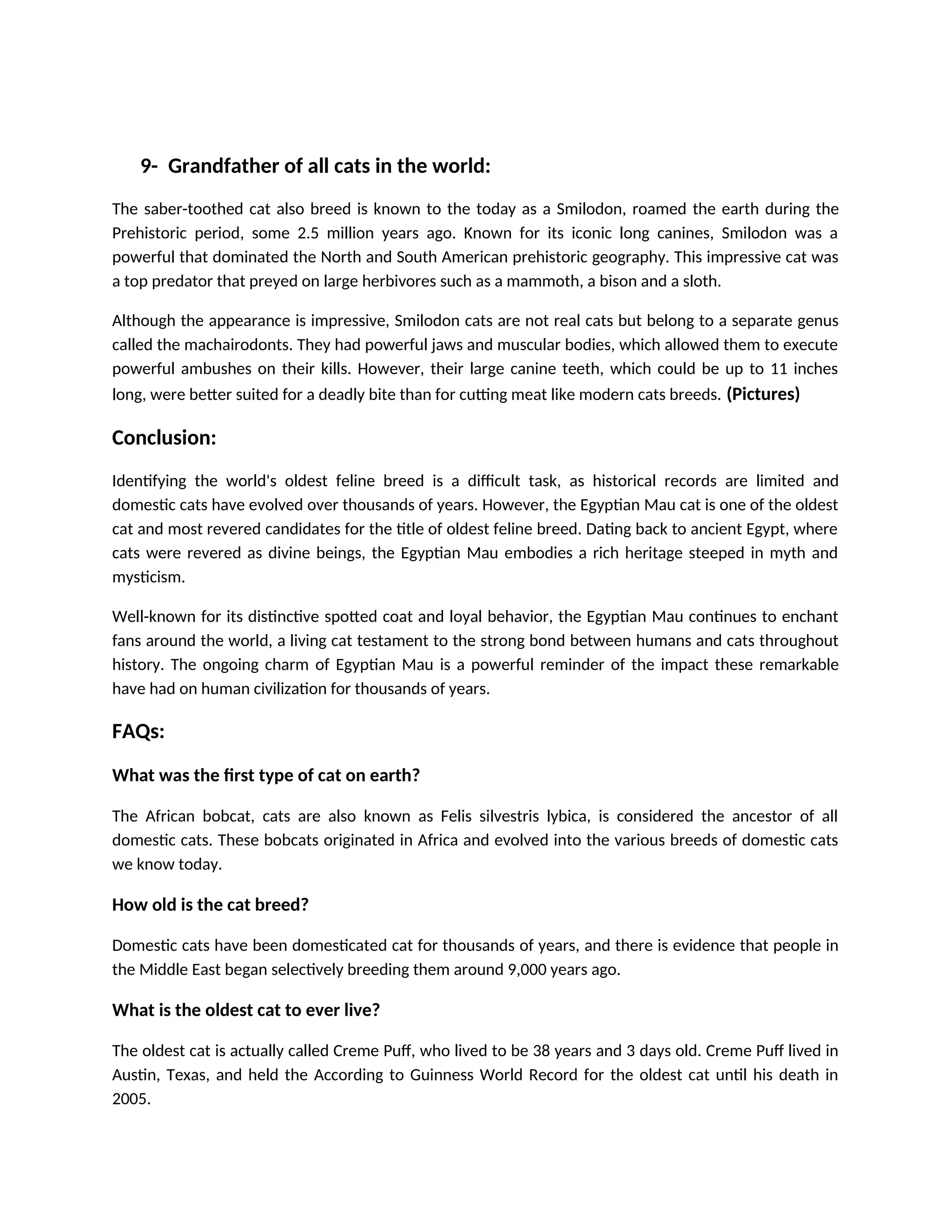 What is the Oldest Cat Breed in the World | DOCX