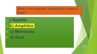 What is the primary habitat of frogs.pptx