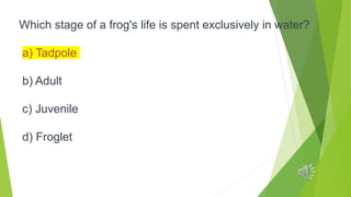 What is the primary habitat of frogs.pptx