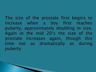 What is the prostate gland? | PPTX