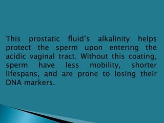 What is the prostate gland? | PPTX