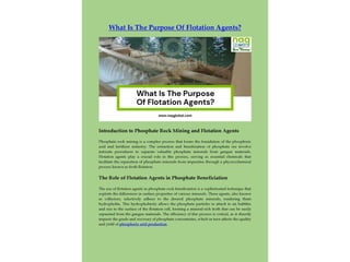 What Is The Purpose Of Flotation Agents.pptx