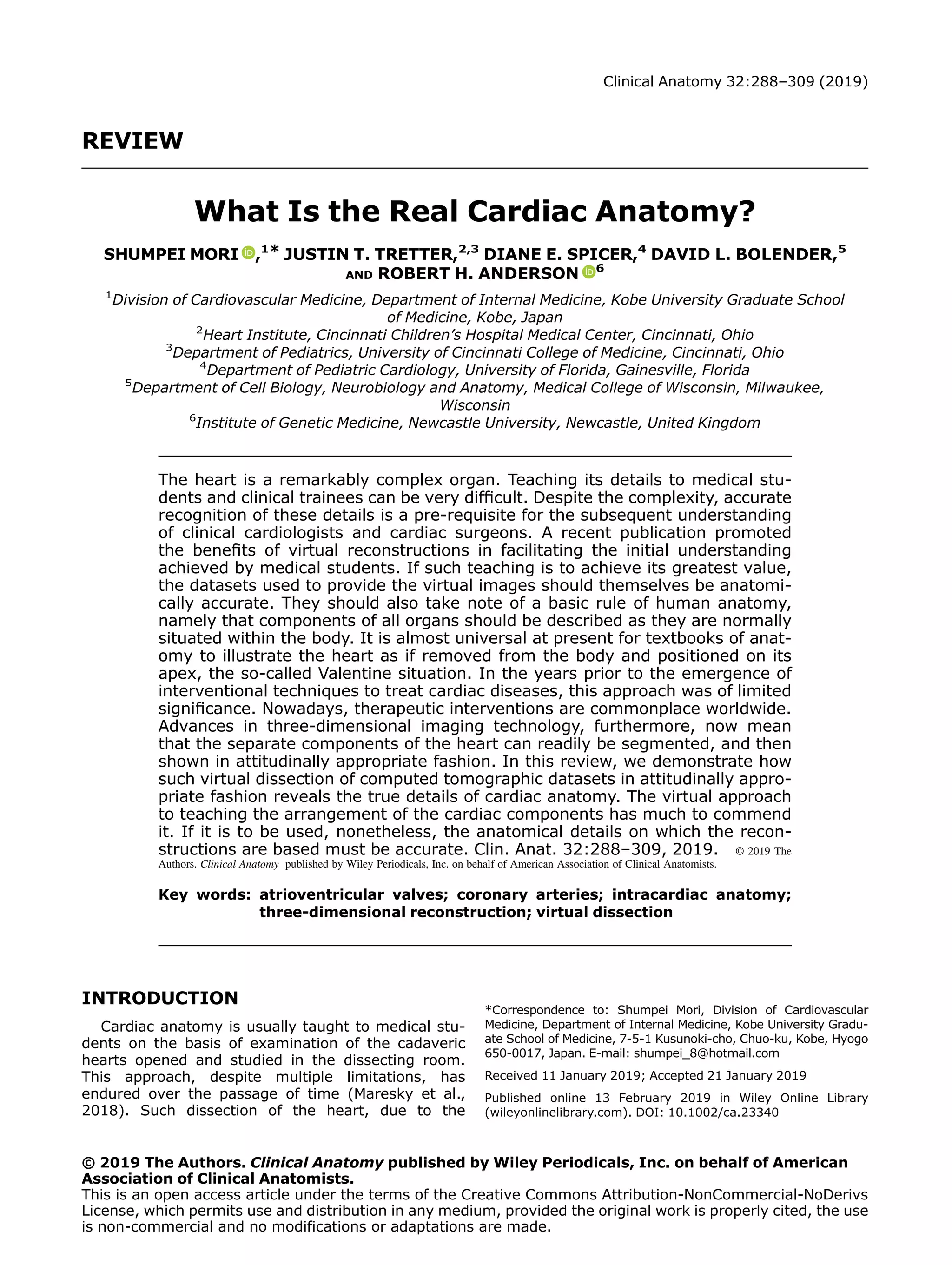 What is the real cardiac anatomy, clinical anatomy 2019 | PDF