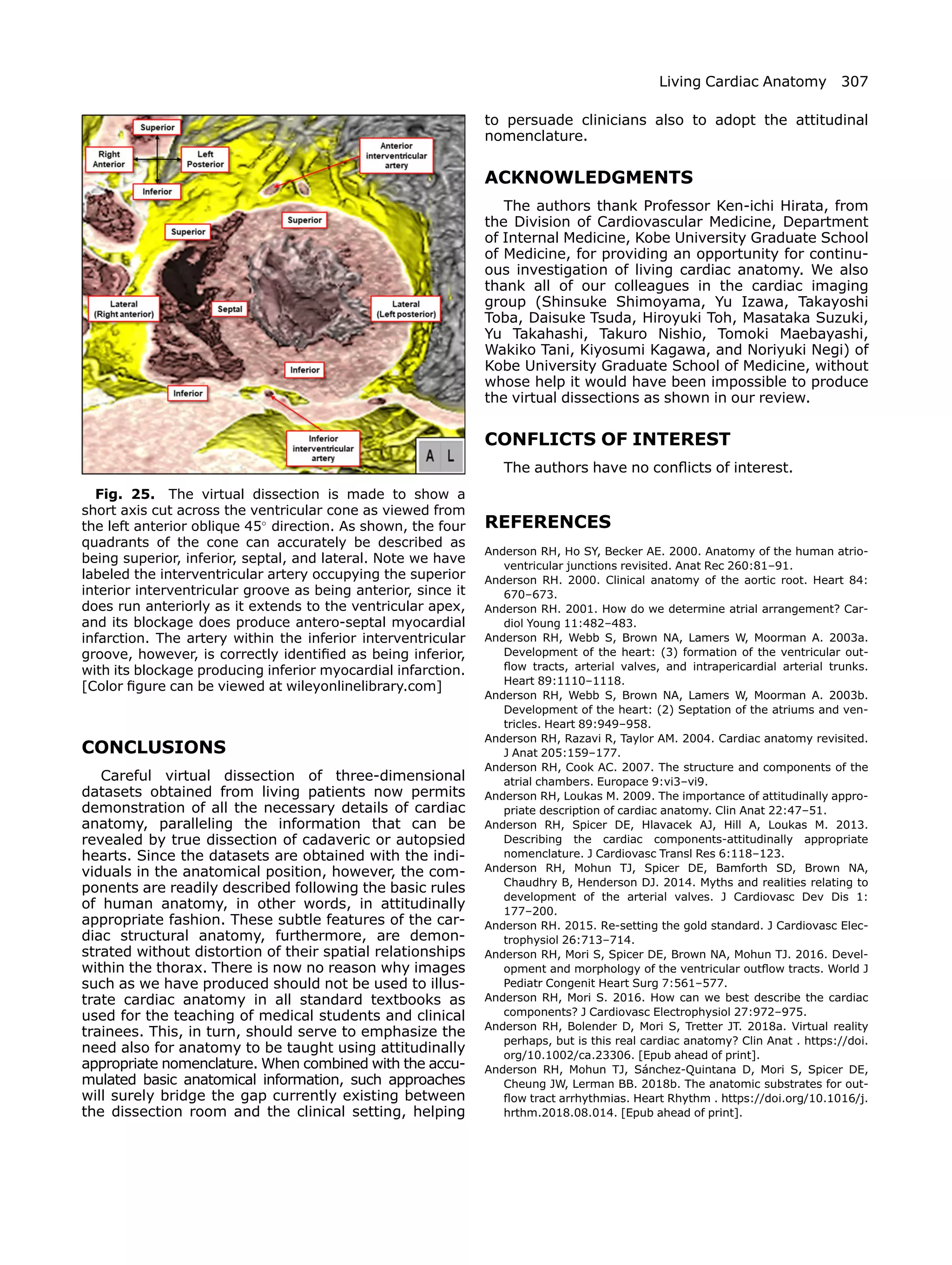 What is the real cardiac anatomy, clinical anatomy 2019 | PDF