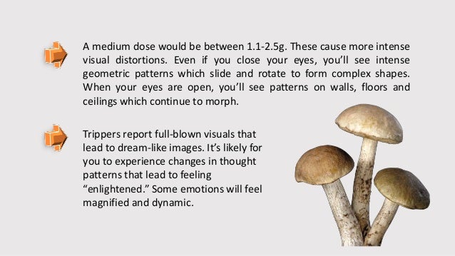 What is the Right Dose of Magic Mushrooms?