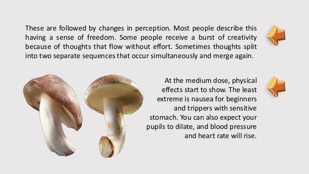 What is the Right Dose of Magic Mushrooms?