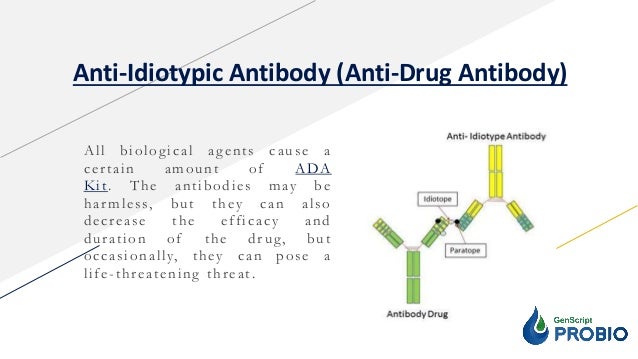 What is the Role of Anti-Idiotypic Antibodies in Drug Development? | PPT