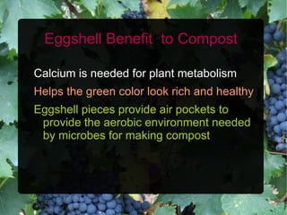 What is the role of eggshells in making compost | ODP