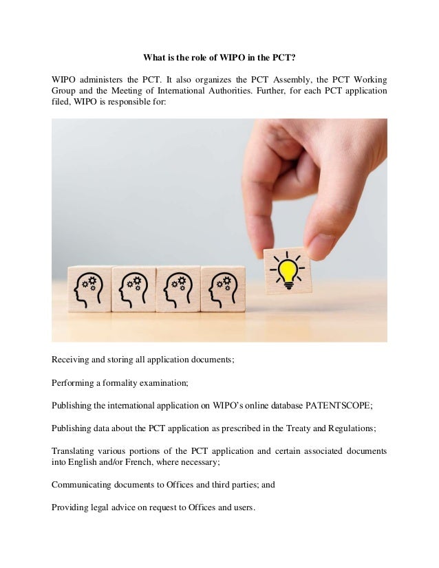 What is the role of wipo in the pct | PDF