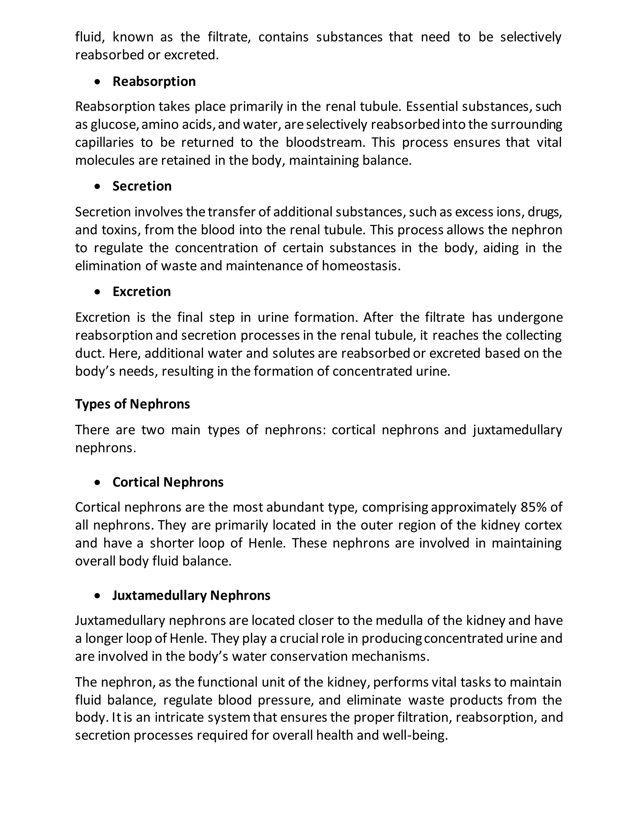 What is the Structure and Functions of Nephron? | PDF
