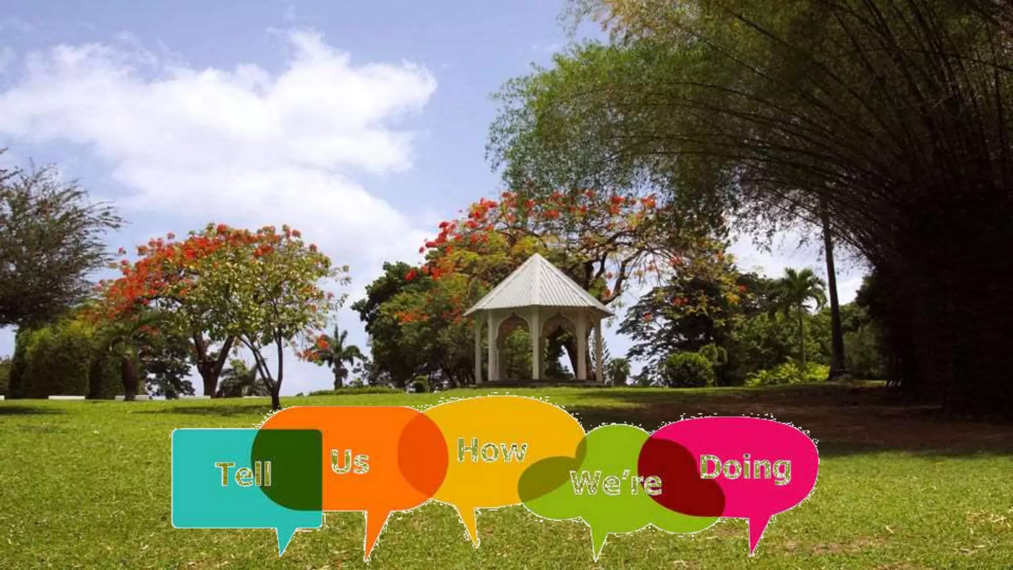 What is the VNR | PPTX