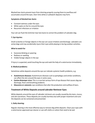 What is the White deposit around Labrador Retrievers Eyes | PDF