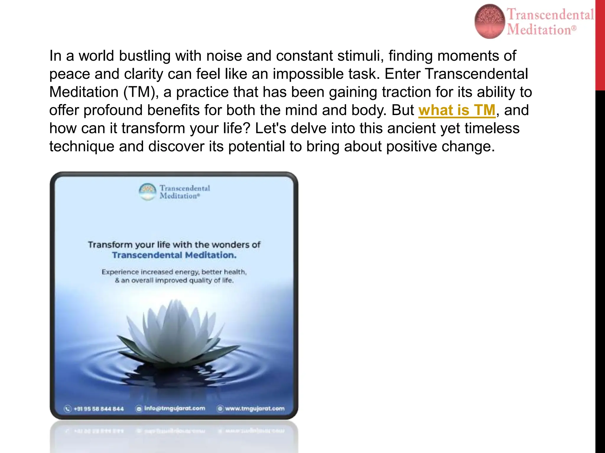 What is TM (Transcendental Meditation)? And How It Can Transform Your ...