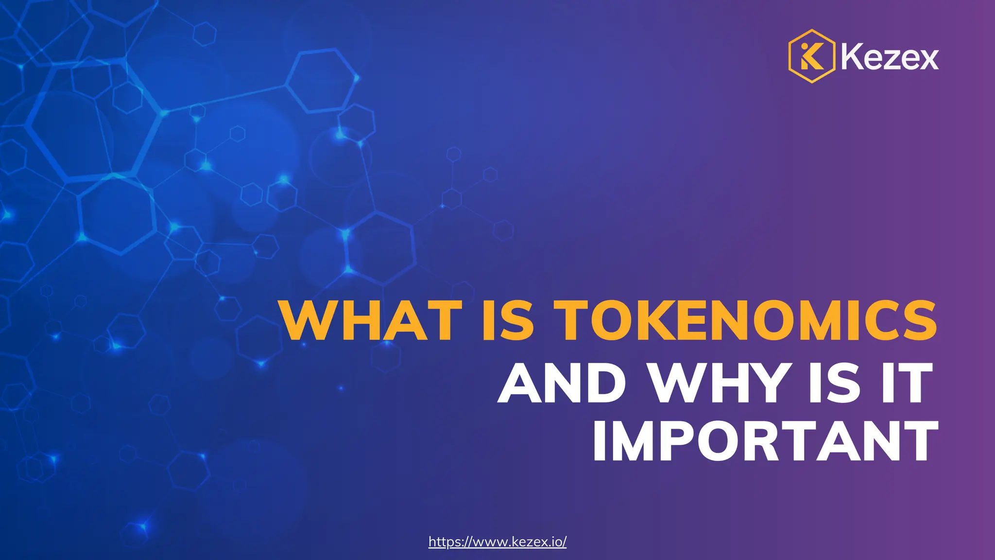 What Is Tokenomics and Why Is It Important.pdf