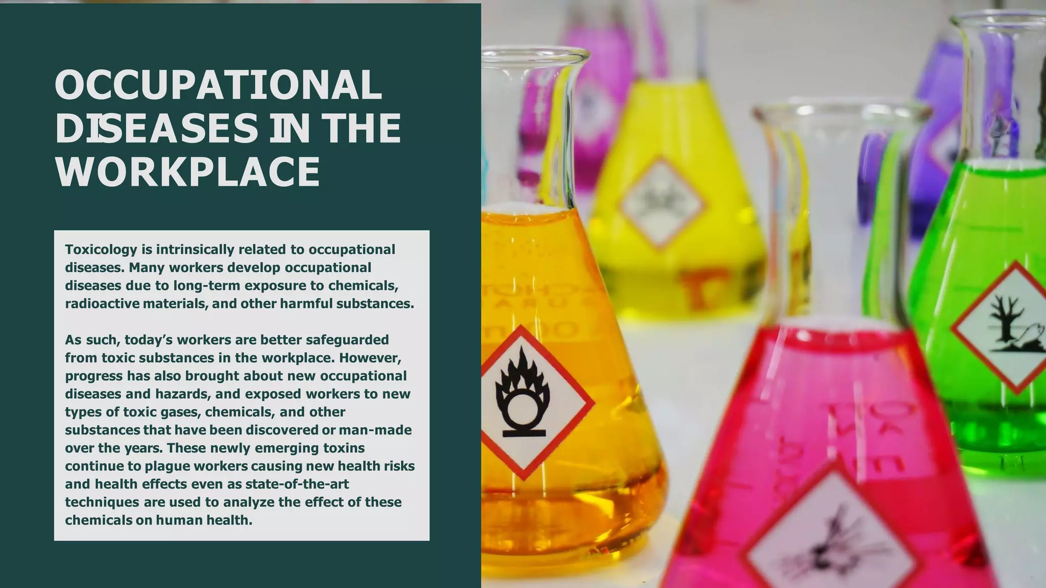 What is Toxicology? | PPTX