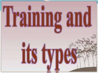 What is training And its Types | PPTX | Careers