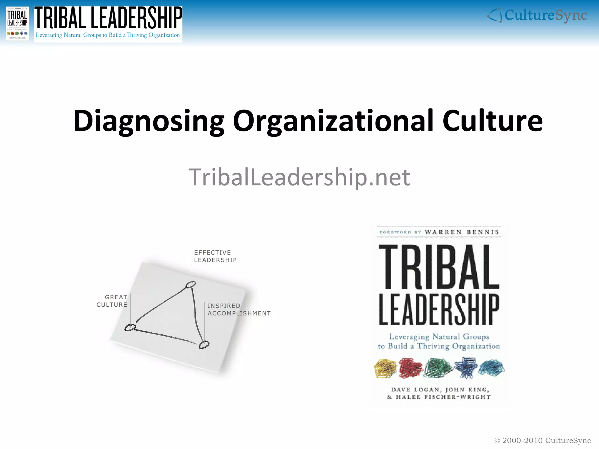 Tribal Leadership: Diagnosing Organizational Culture | PPT
