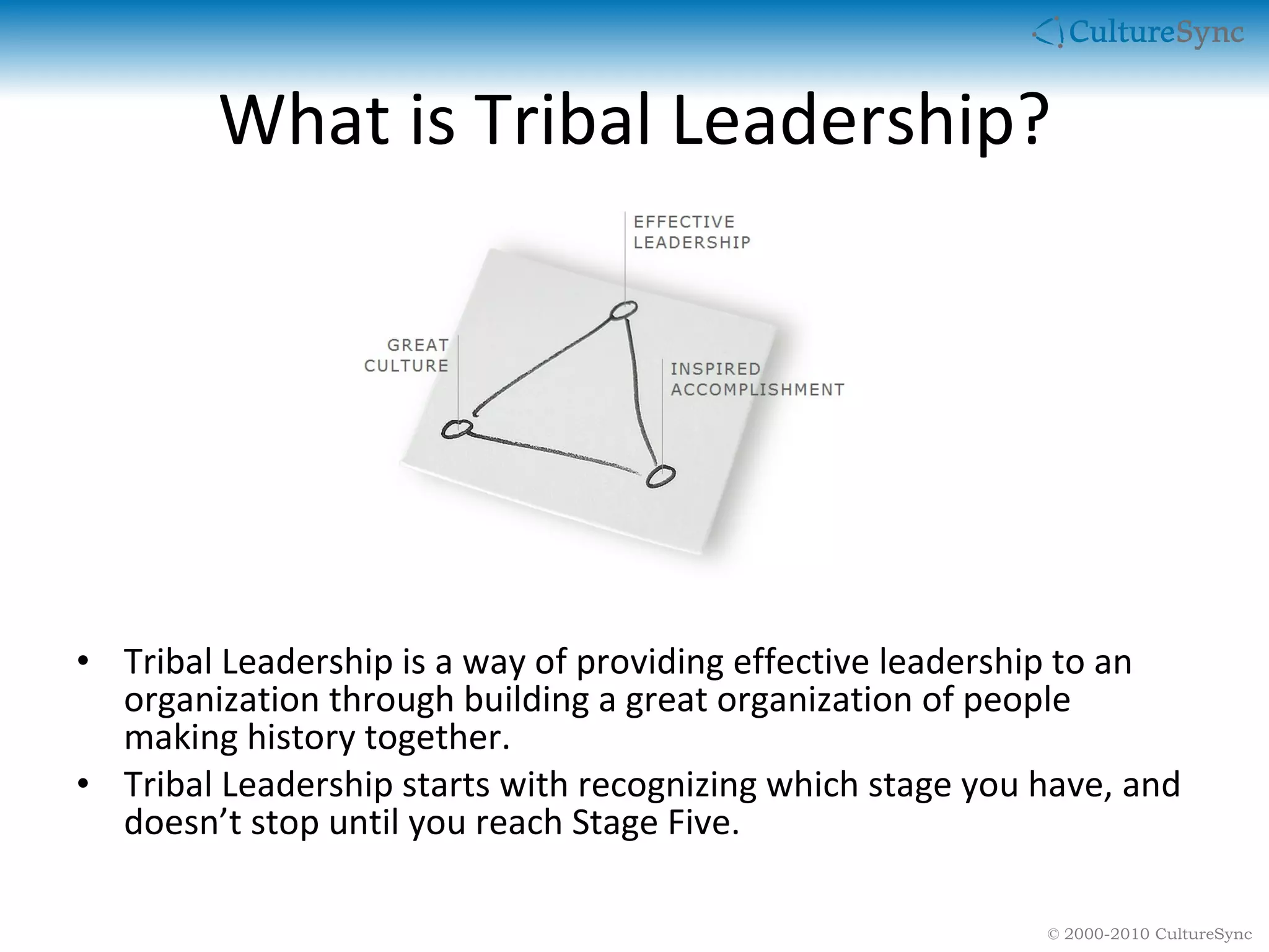Tribal Leadership: Diagnosing Organizational Culture | PPT