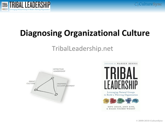 Tribal Leadership: Diagnosing Organizational Culture | PPT | Business ...