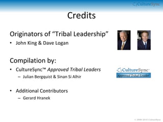 Tribal Leadership: Diagnosing Organizational Culture | PPT