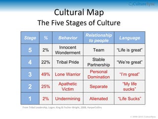 Tribal Leadership: Diagnosing Organizational Culture | PPT