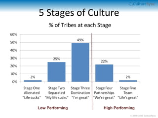 Tribal Leadership: Diagnosing Organizational Culture | PPT