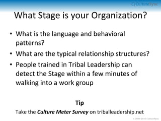 Tribal Leadership: Diagnosing Organizational Culture | PPT