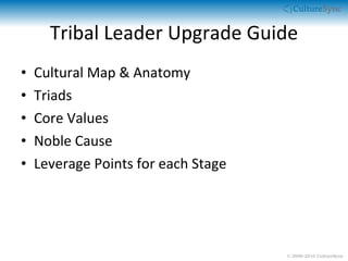 Tribal Leadership: Tribal Leader Upgrade Guide | PPT