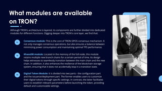 What is TRON (TRX)? How does it work? A Beginner's Guide.pdf