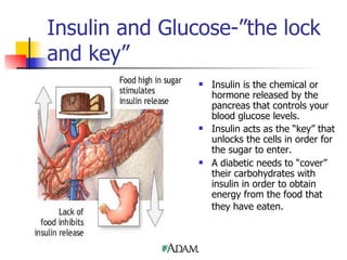 What Is Type 1 Diabetes Revised | PPT
