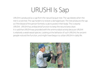 What is urushi? | PPT