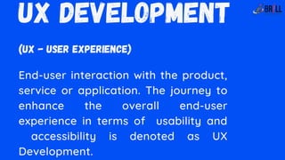 What is UX Developer | PPT