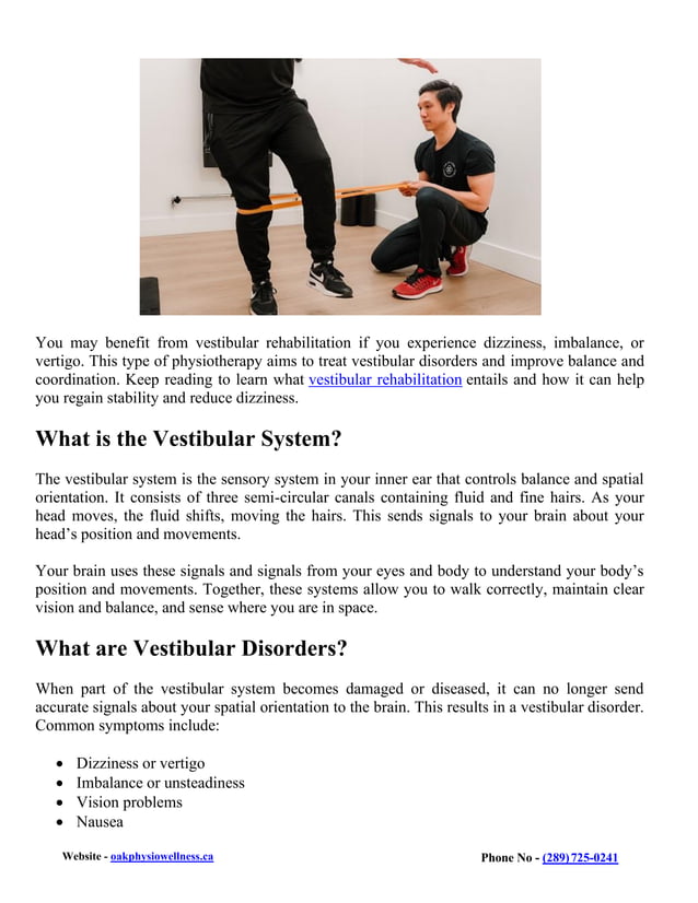 What is Vestibular Rehabilitation.pdf