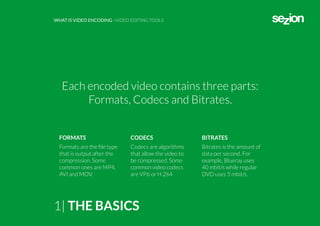What is video encoding | PDF