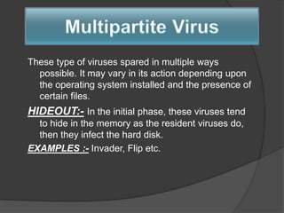 Computer virus | PPTX | Operating Systems | Computer Software and ...