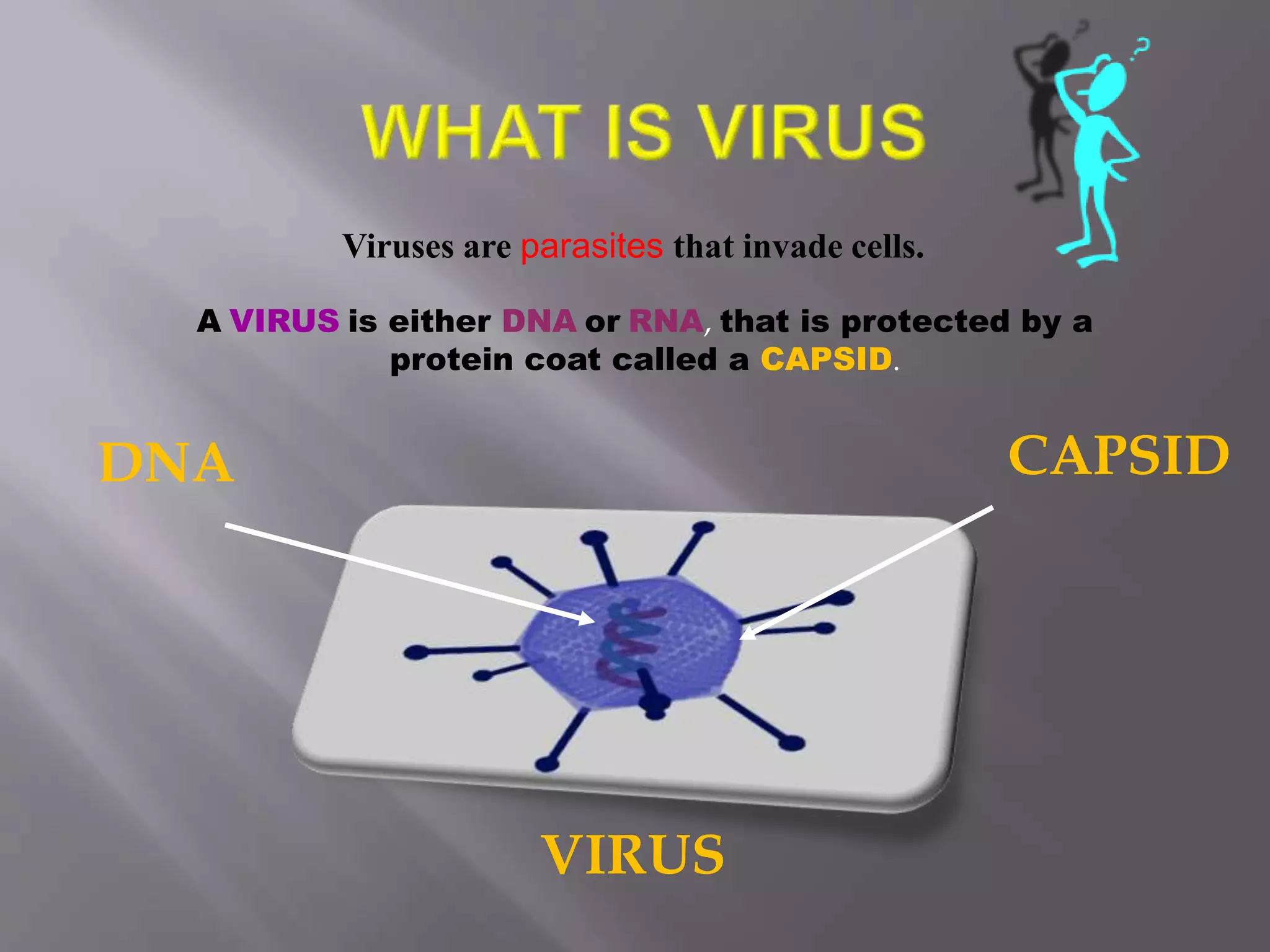 What is virus | PPTX | Biological Sciences | Science