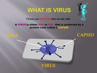 What is virus | PPTX | Biological Sciences | Science