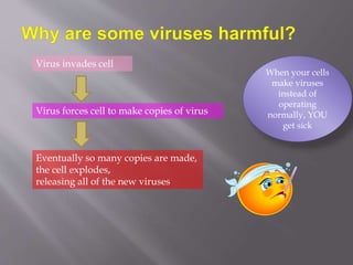 What is virus | PPTX | Biological Sciences | Science
