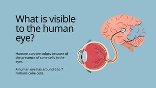 What is Visible Light Science Presentation in Light Blue Black Hand ...
