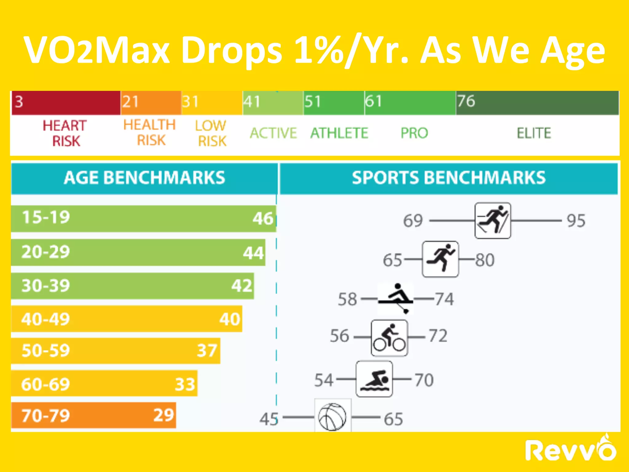 What is VO2Max | PDF