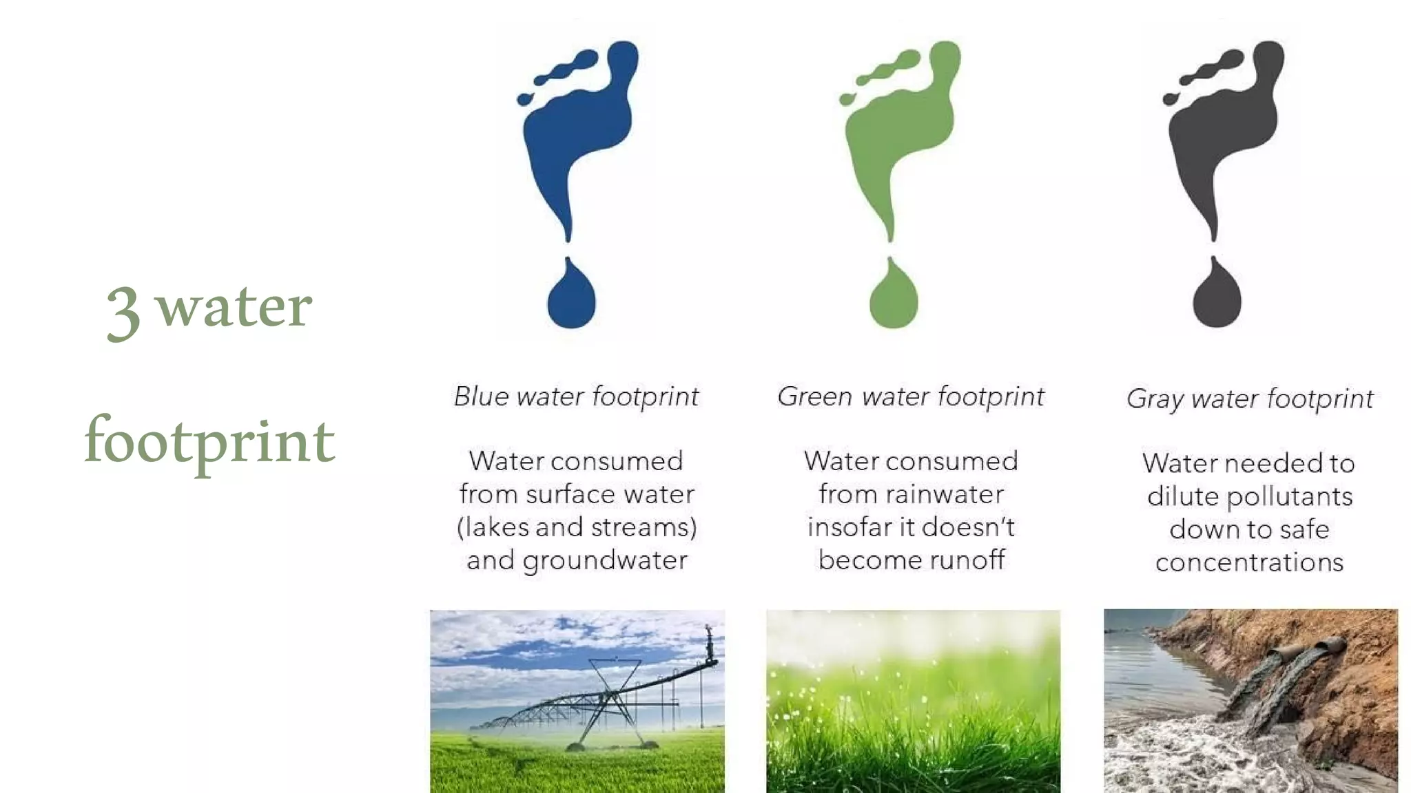 What is water your water footprint | PDF