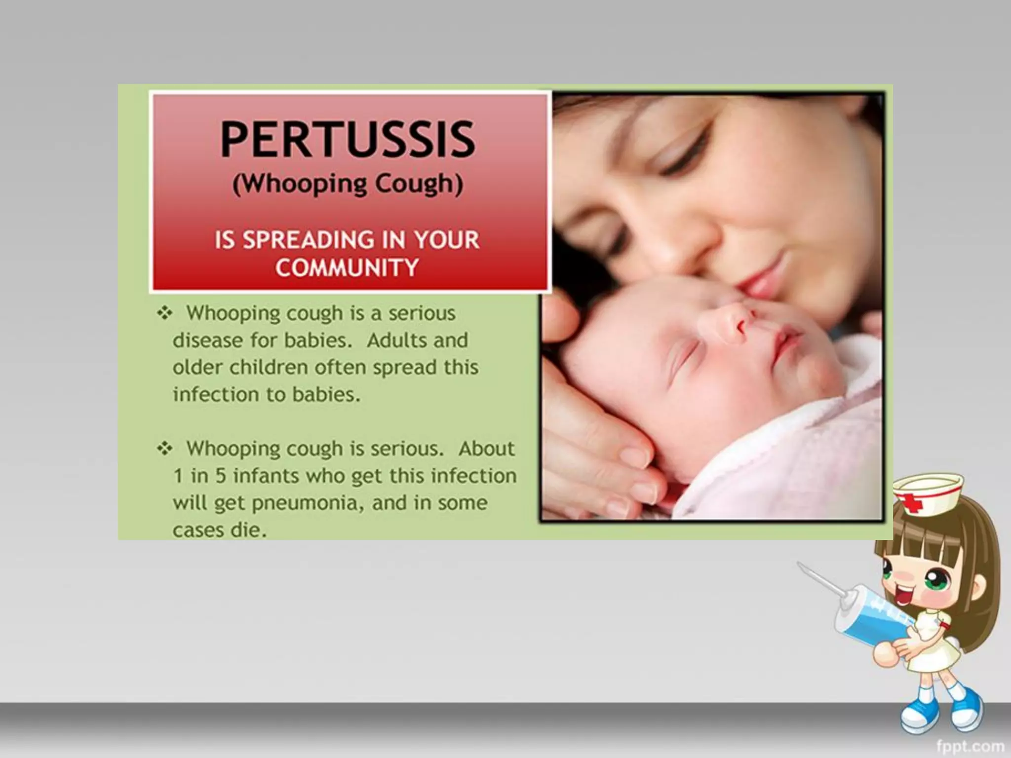 What is whooping cough (pertussis) | PPT