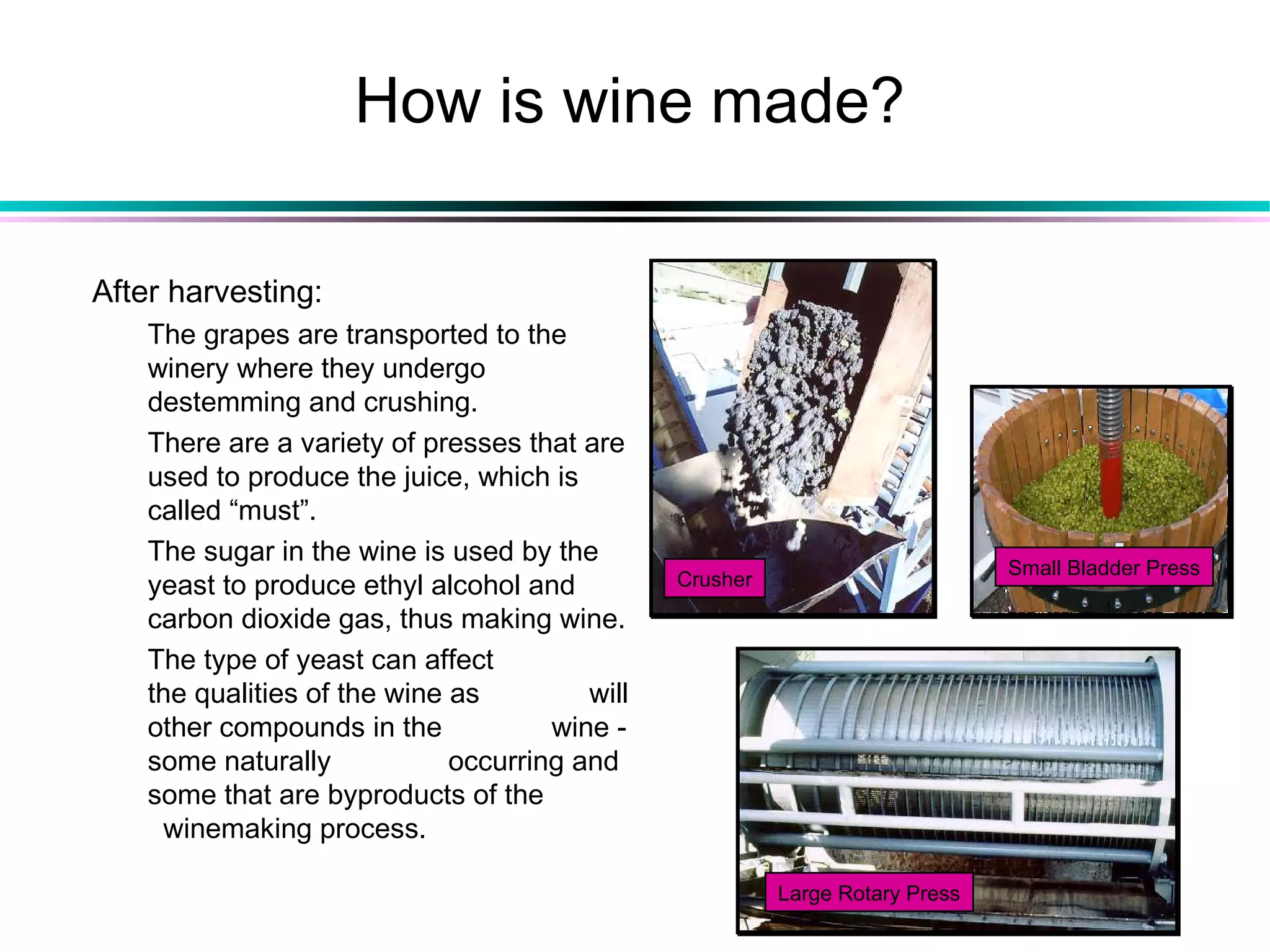 What is wine? An introduction to the process. Sort of Wine 101 | PPT