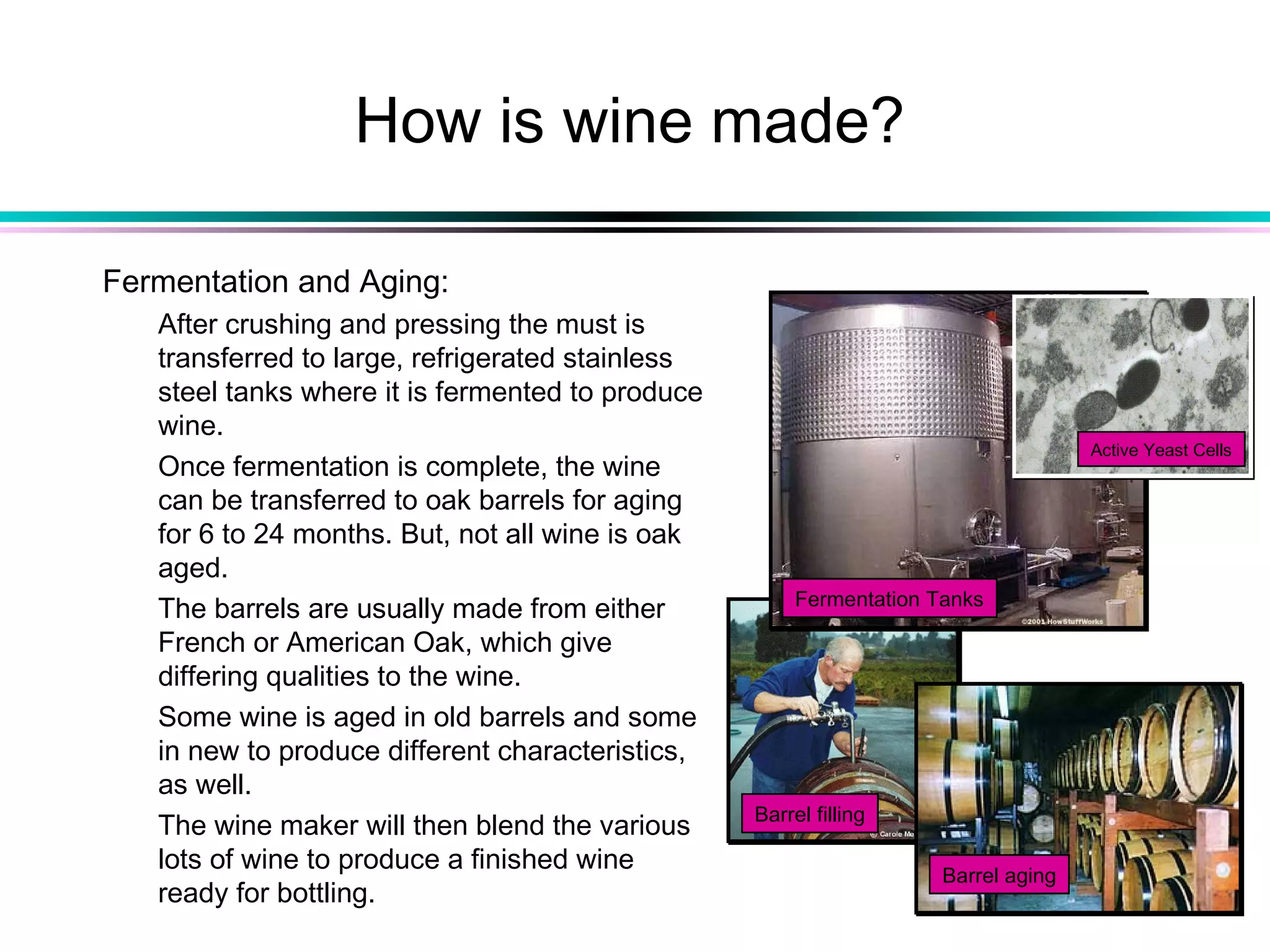 What is wine? An introduction to the process. Sort of Wine 101 | PPT