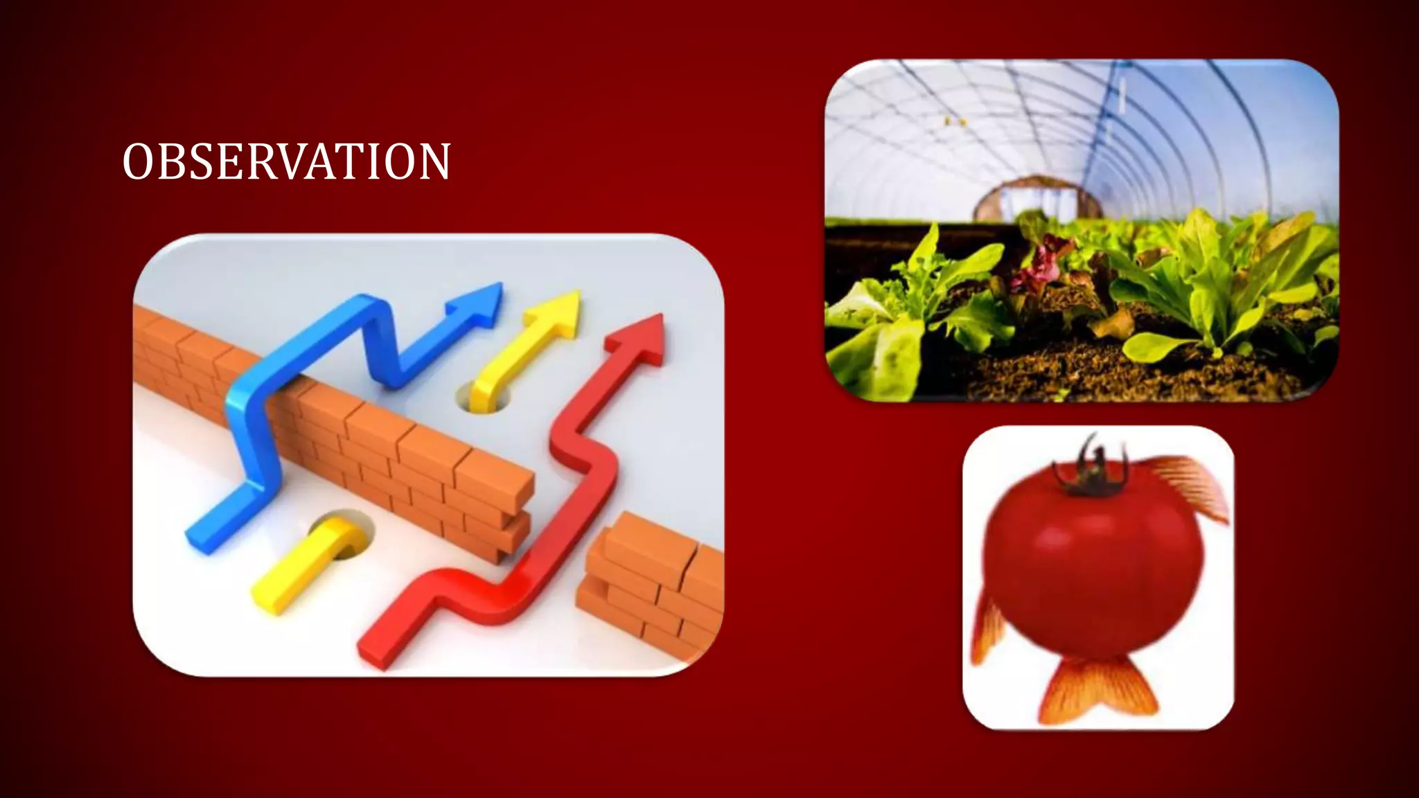 What is wrong with our food system | PPTX