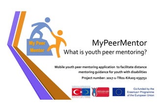 What is youth peer mentoring? | PDF