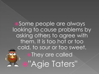 What kind of tater are you | PPTX