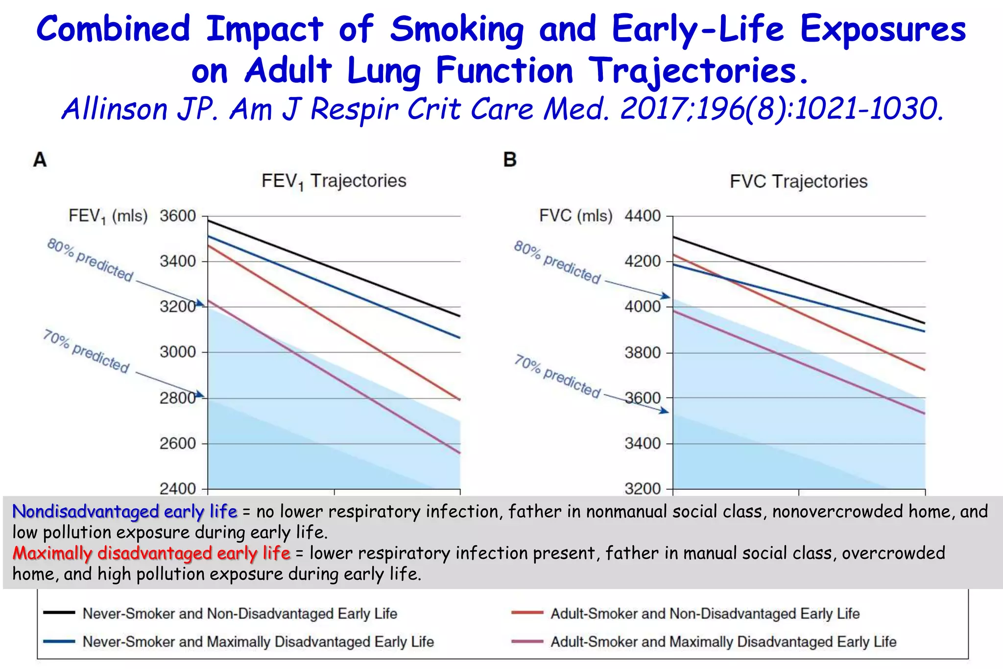 What lung function ultrasound physiology bronchoscopy | PPT
