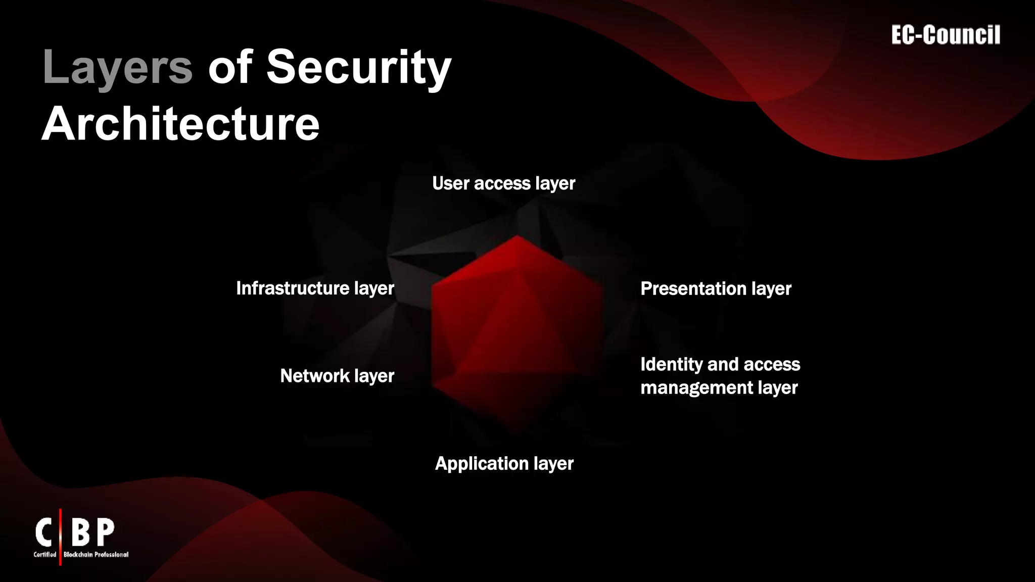 What Makes Blockchain Secure Key Characteristics And Security